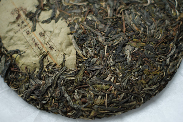 Spring 2024 Cang Yuan - Farmerleaf