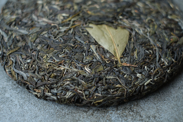 Spring 2025 Jingmai Gulan - Farmerleaf